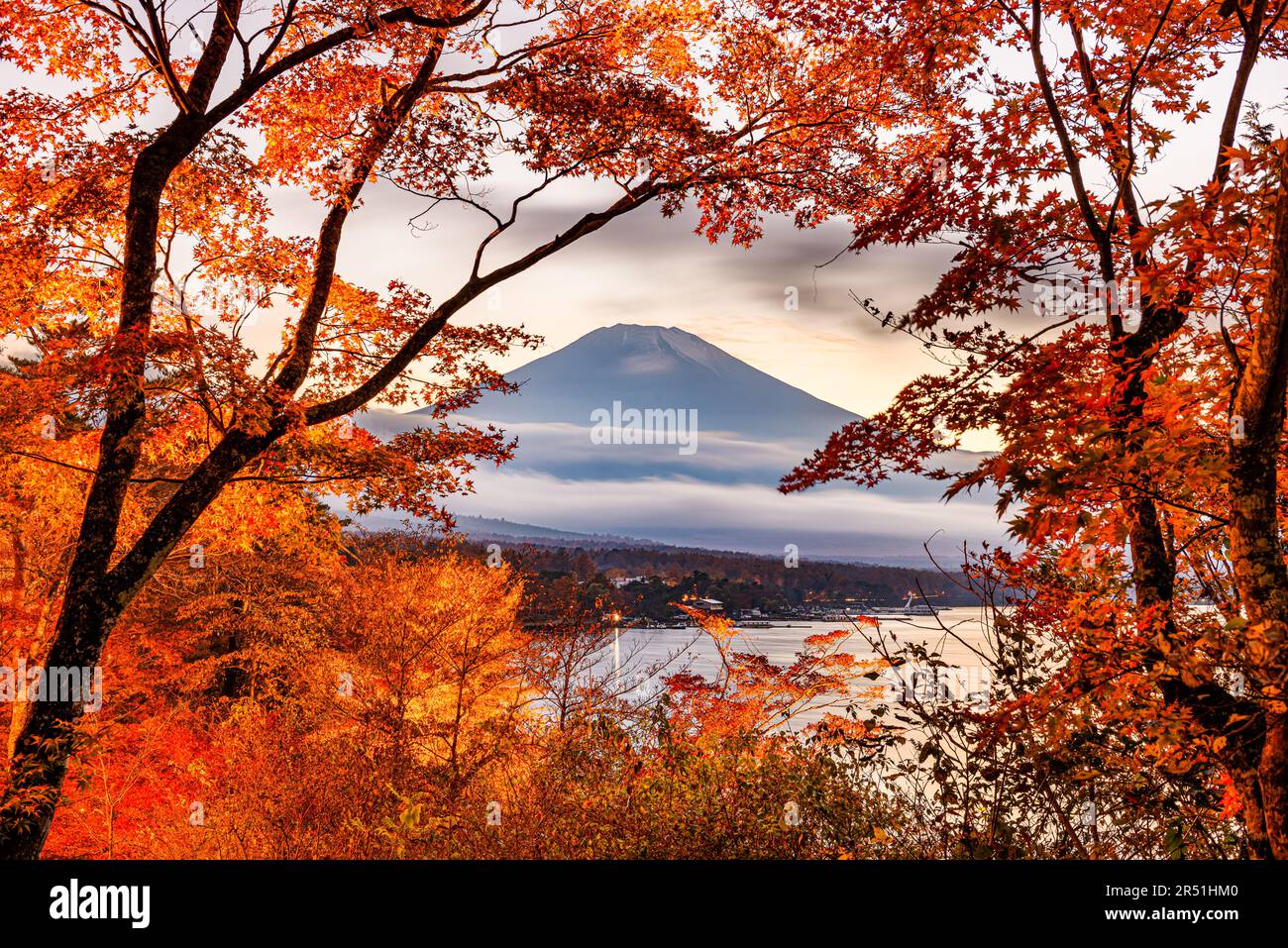 Mt. Fuji, Japan autumn at Yamanaka Lake at dusk Stock Photo - Alamy