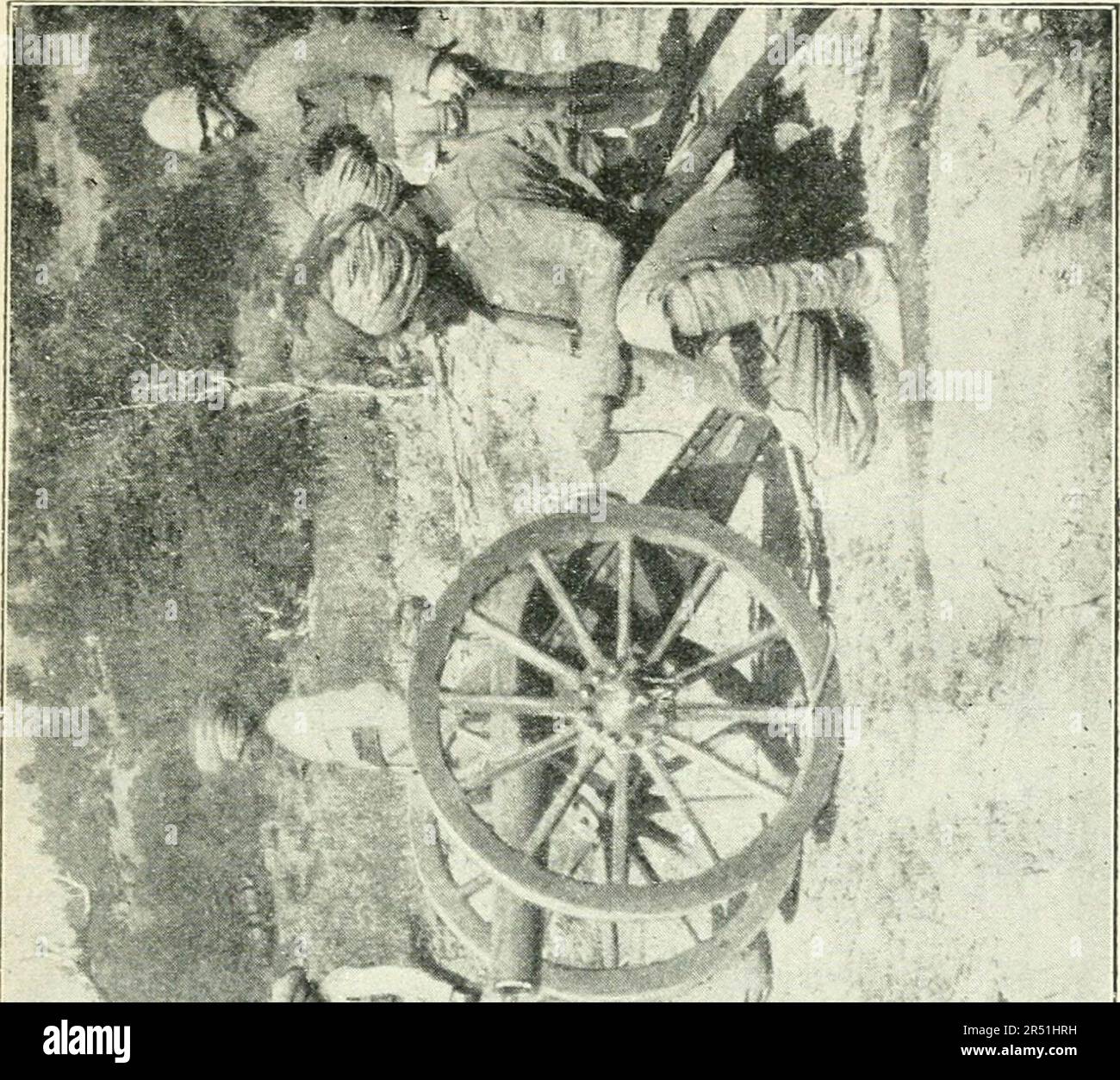 "The Chitral campaign : a narrative of events in Chitral, Swat, and ...