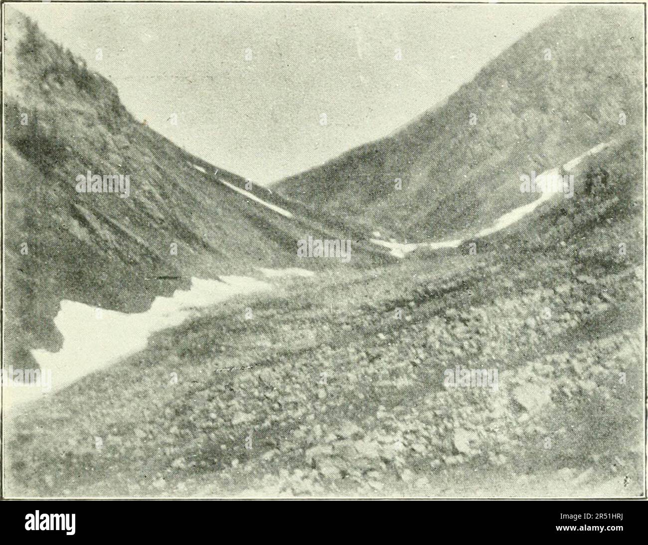 "The Chitral campaign : a narrative of events in Chitral, Swat, and ...