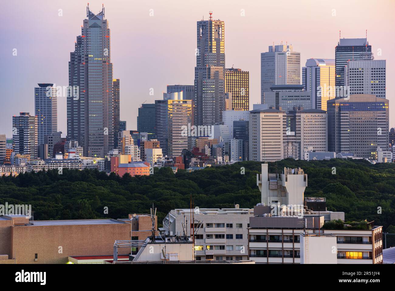 Tokyo, Japan city skyline over Shibuya towards Shinjuku Ward Stock Photo - Alamy