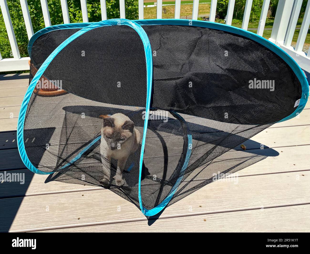 Walking around vinyl deck hi-res stock photography and images - Alamy