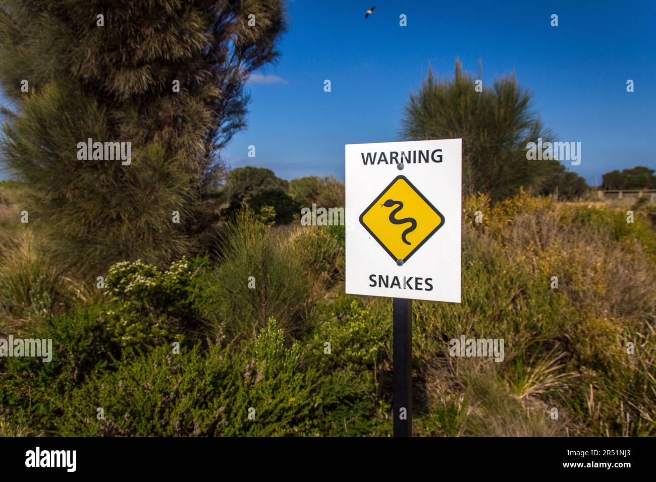 Snake warning sign hi-res stock photography and images - Alamy