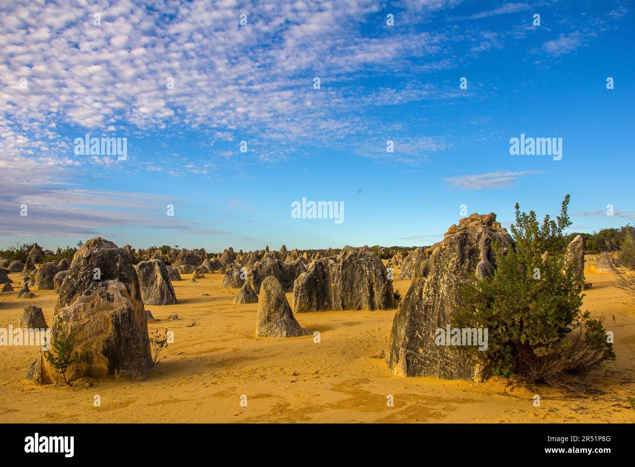 The Pinnacles, Australia Stock Photo - Alamy