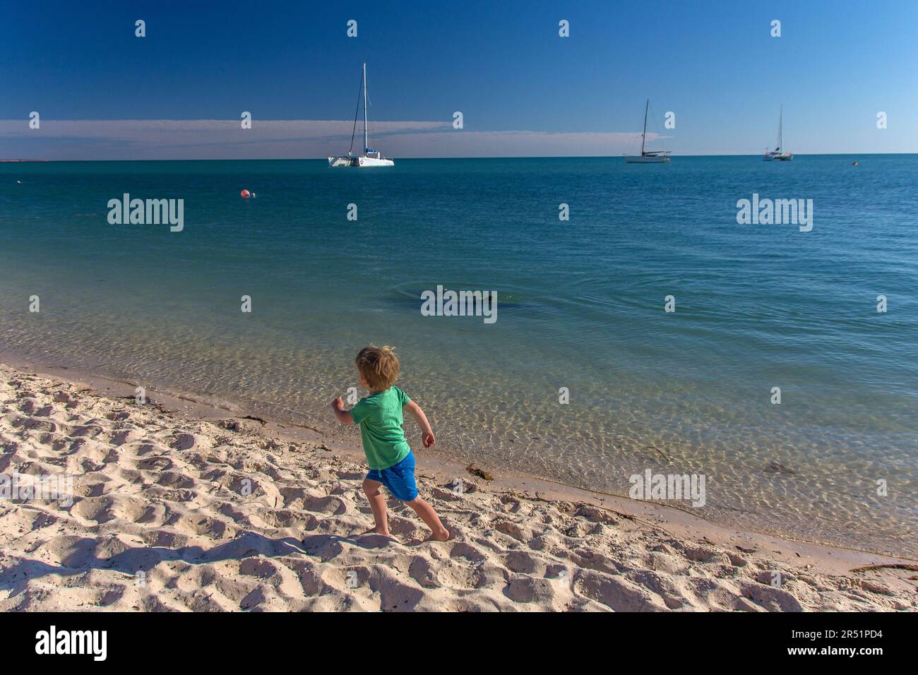 dolphions swimming by the beach at monkey mia in australia Stock Photo ...