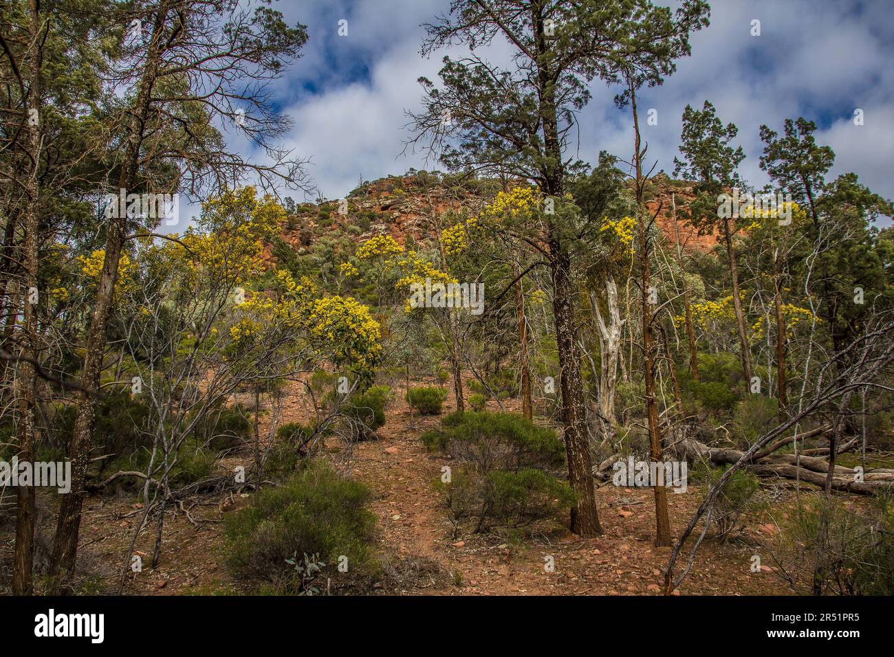 Landscapes of the Flinders Range in Australia Stock Photo - Alamy