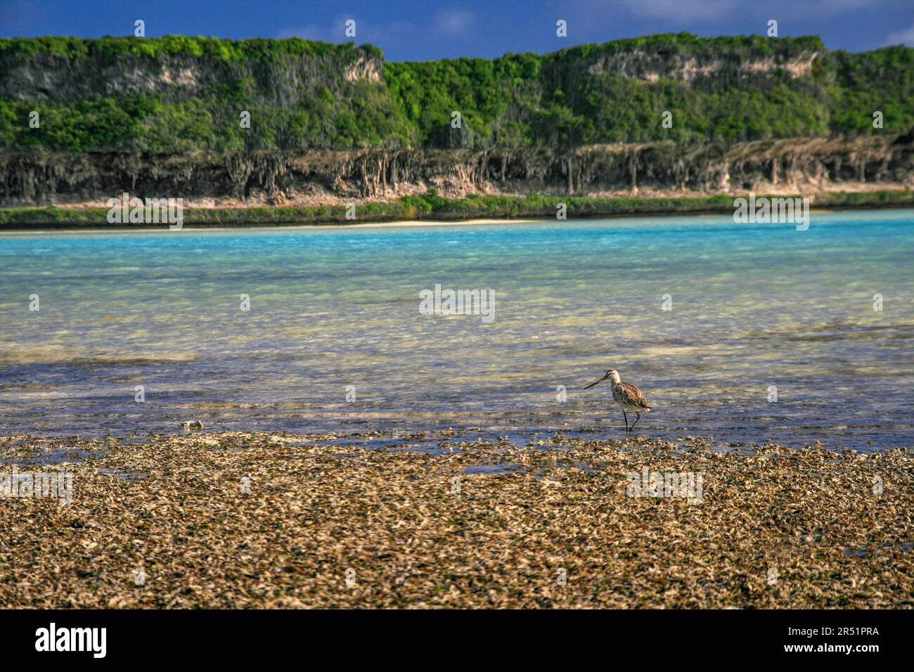 Plages d'Ouvéa, Nouvelle Calédonie Stock Photo - Alamy