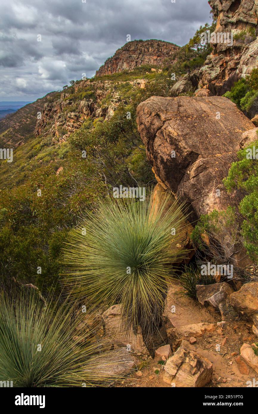 Landscapes of the Flinders Range in Australia Stock Photo - Alamy