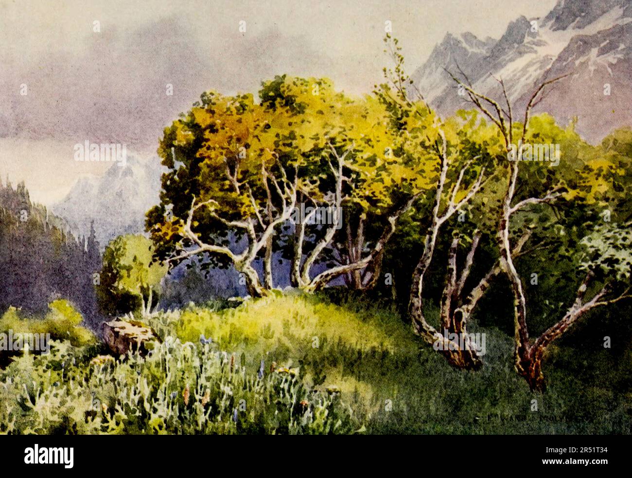Above the Camping-Ground, Sonamarg, Sind Valley painted by Major Edward ...