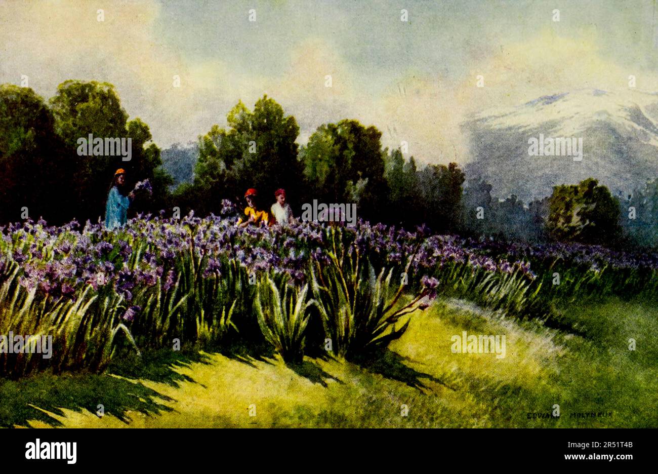 Spring in Kashmir painted by Major Edward Molyneux from the book ...