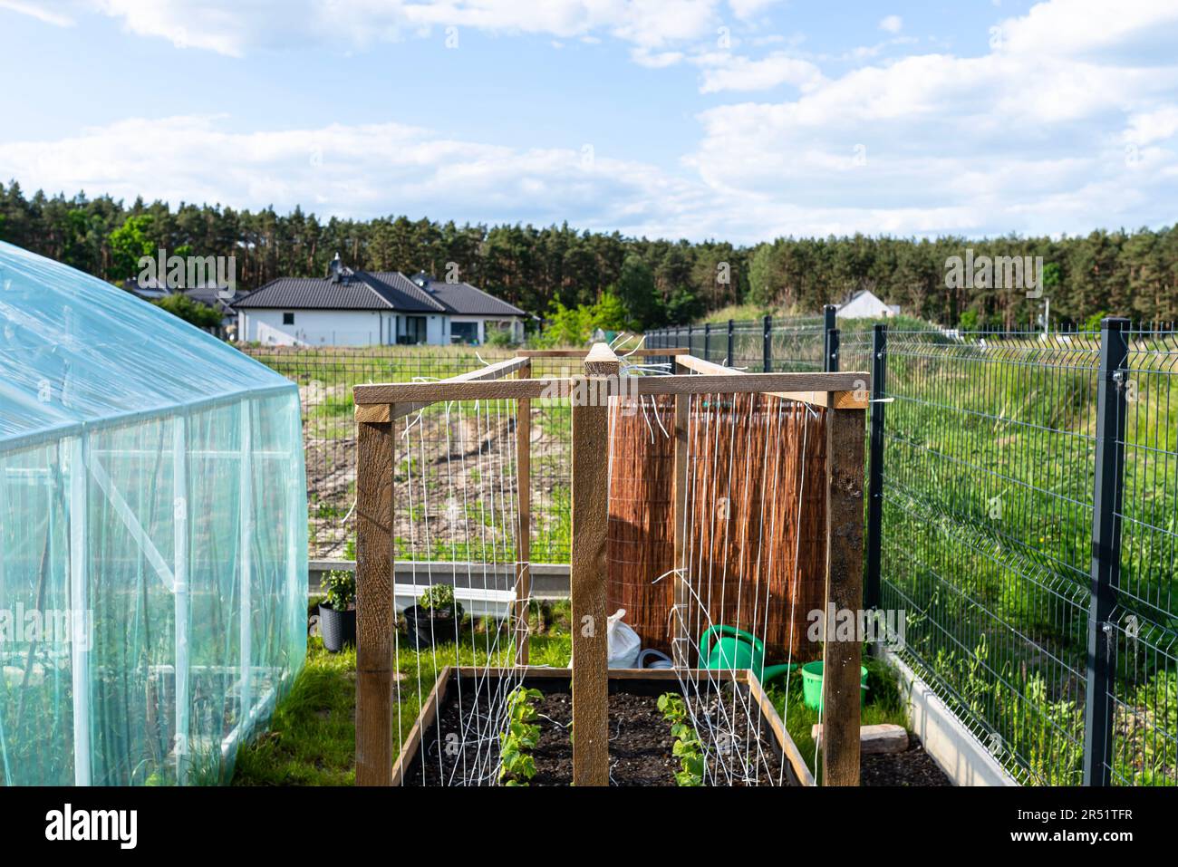 A wooden crate with cucumbers and strings hanging from a scaffold ...
