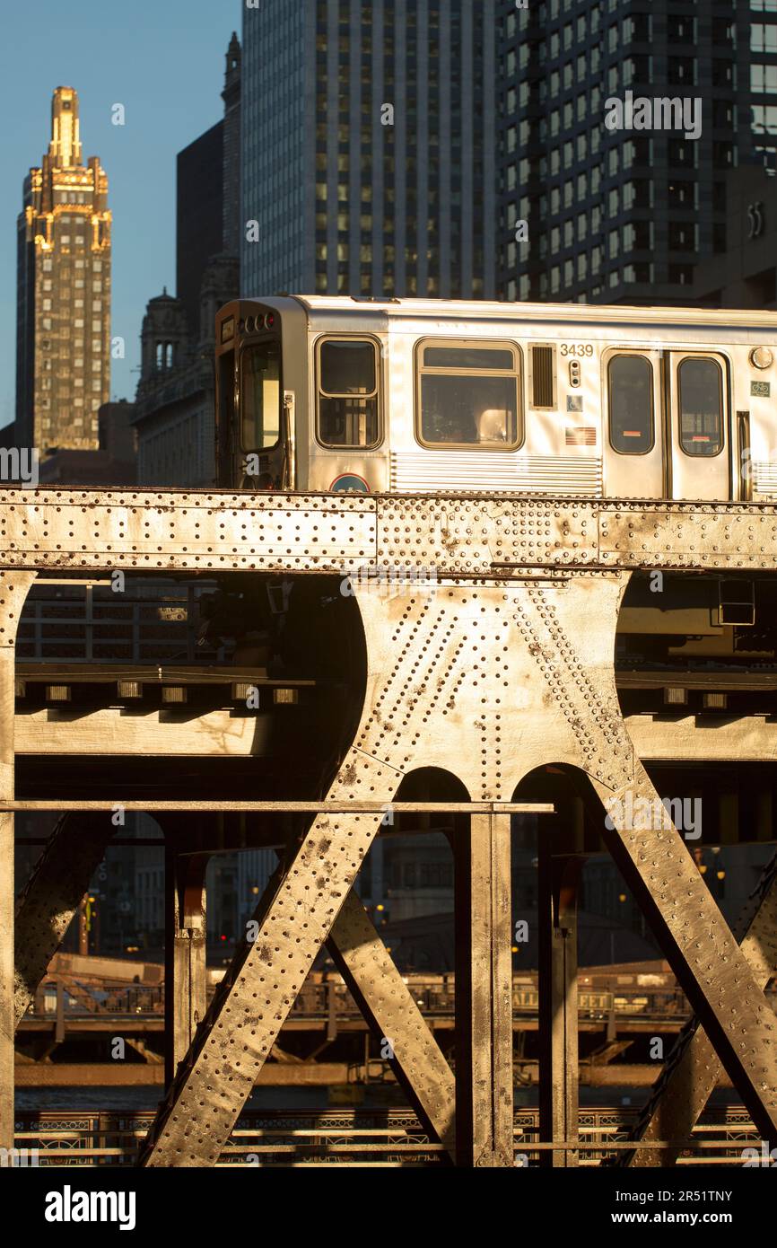 Chicago, Illinois, Chicago, CTA train (Chicago Transport Association ...