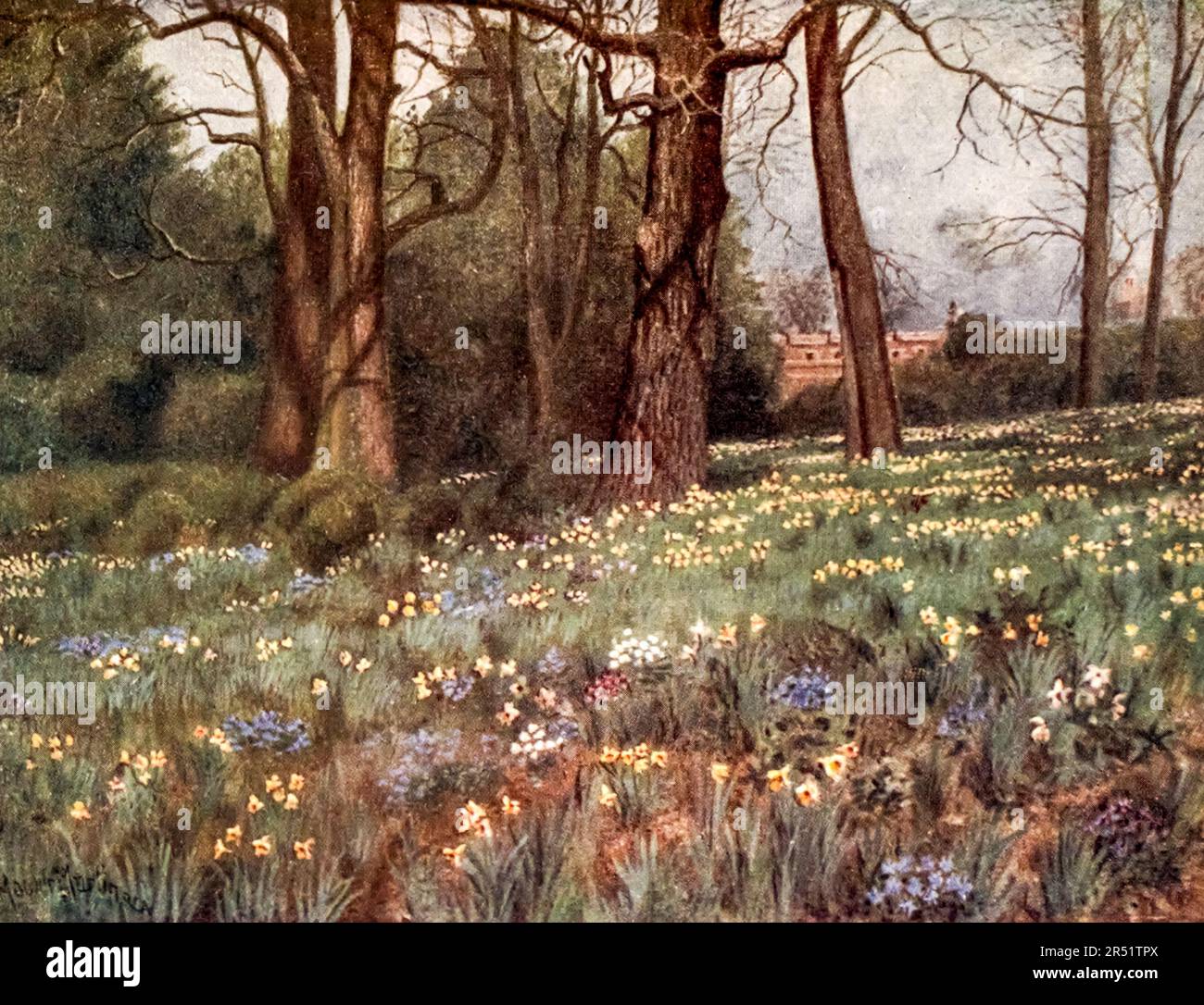 The Wild Garden in Spring Painted by T. Mower Martin (Thomas Mower ...