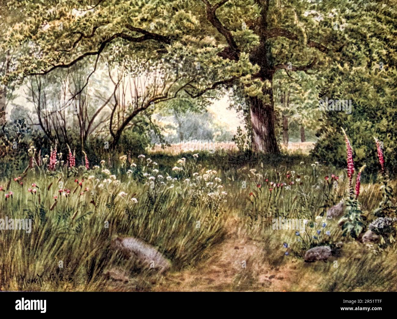 In Queen's Cottage Gardens Painted by T. Mower Martin (Thomas Mower ...