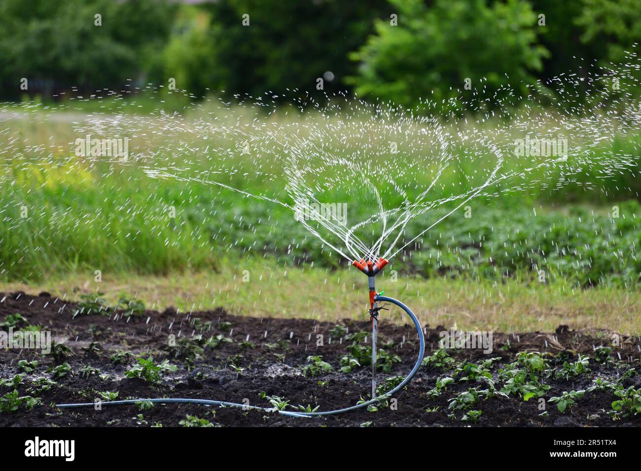 Circular sprinkler for watering the garden in the operation Stock Photo ...