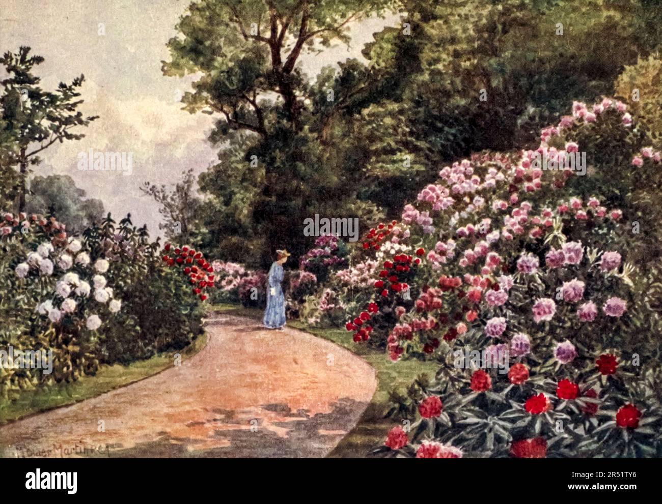The Rhododendron Walk Painted by T. Mower Martin (Thomas Mower Martin ...