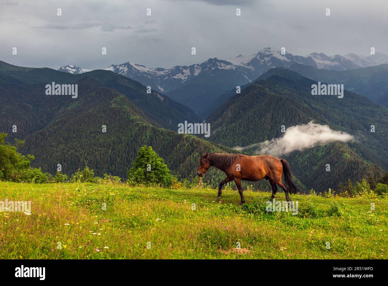 Georgia main popular tourist attractions Stock Photo - Alamy