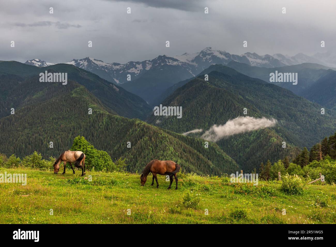 Georgia main popular tourist attractions Stock Photo - Alamy