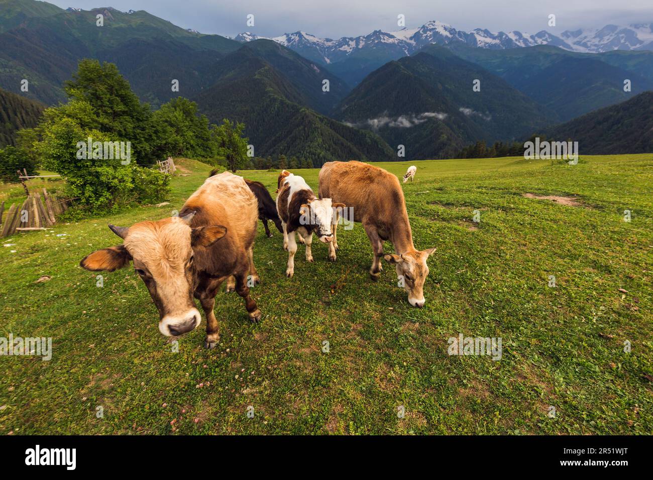Georgia main popular tourist attractions Stock Photo - Alamy