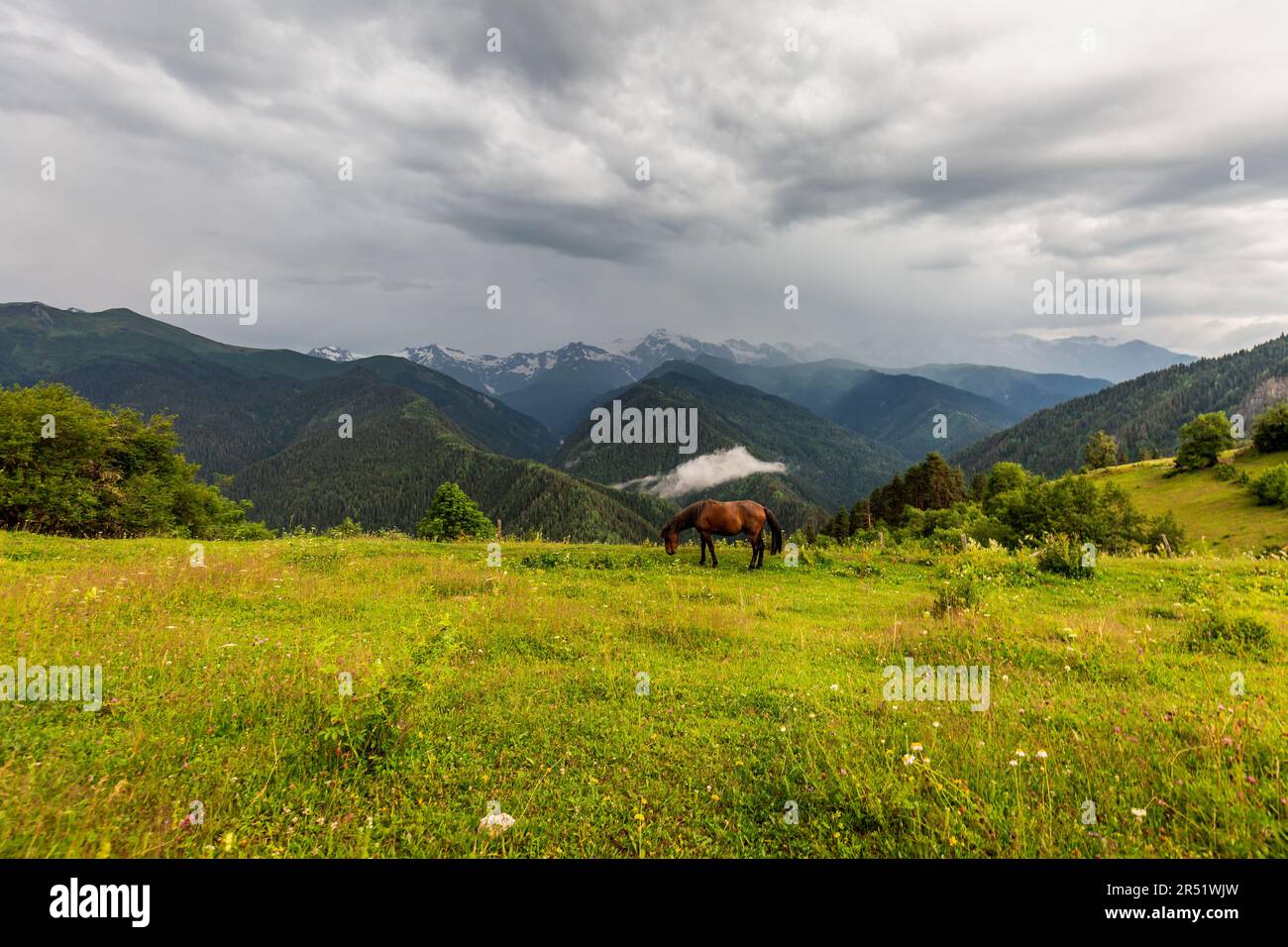 Georgia main popular tourist attractions Stock Photo - Alamy