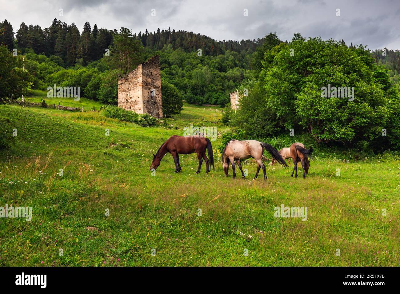 Georgia main popular tourist attractions Stock Photo - Alamy
