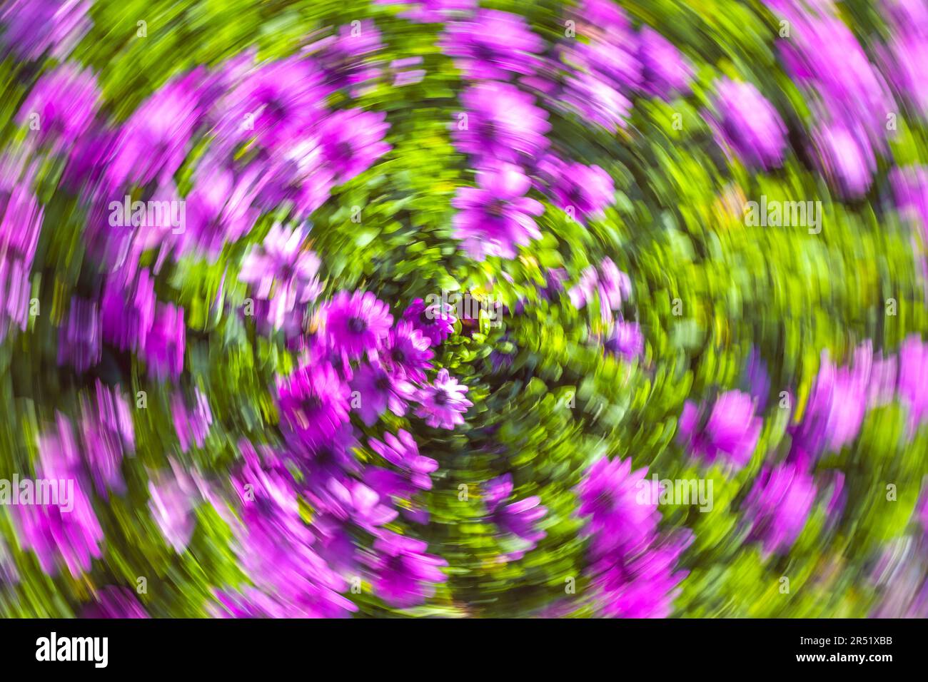 Abstract flower photography. Blurred motion background of flowers Stock ...