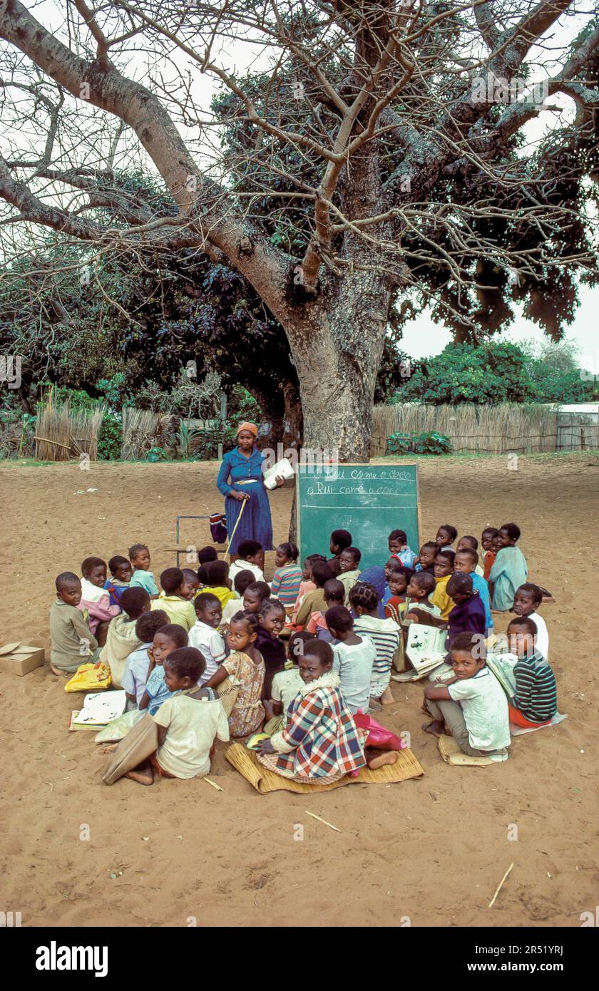 Mozambique, Xai-Xai; Group of children is sitting under a tree, getting ...