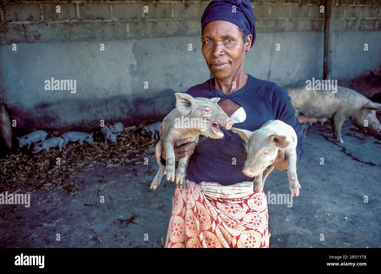 Mozambique. In the Zonas Verdes around Maputo, this woman has a small ...
