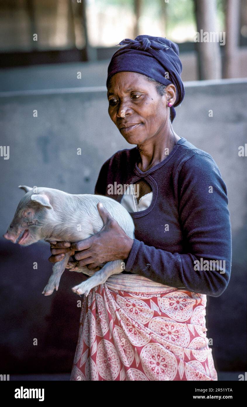 Zonas verdes hi-res stock photography and images - Alamy