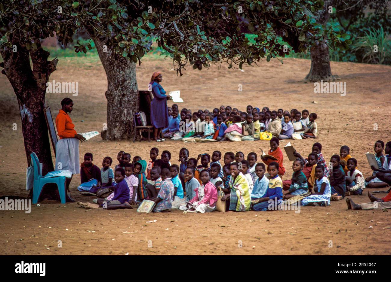 Mozambique, Xai-Xai; Two classes of a primary school are sitting under ...