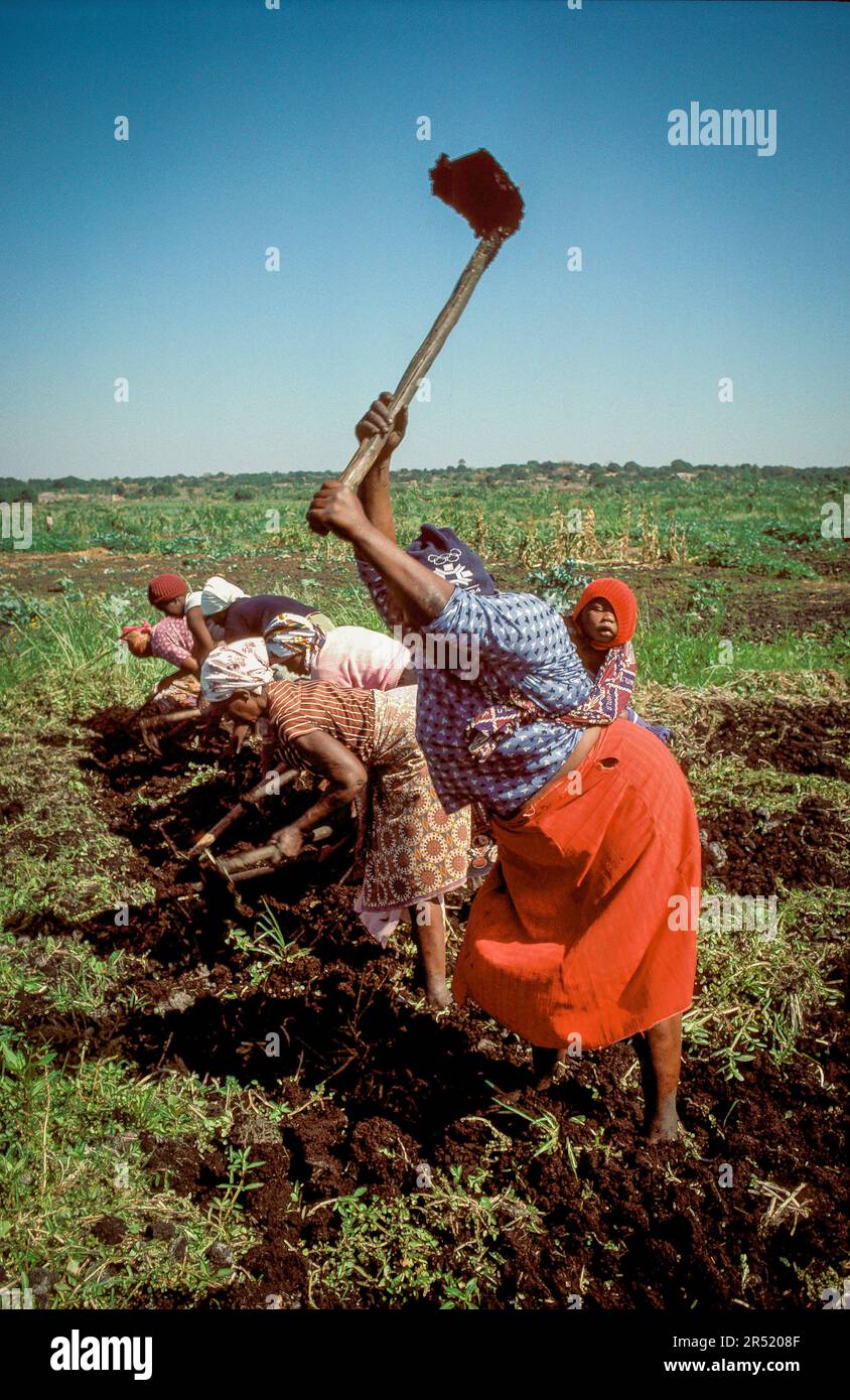 Ploughing tools hi-res stock photography and images - Alamy