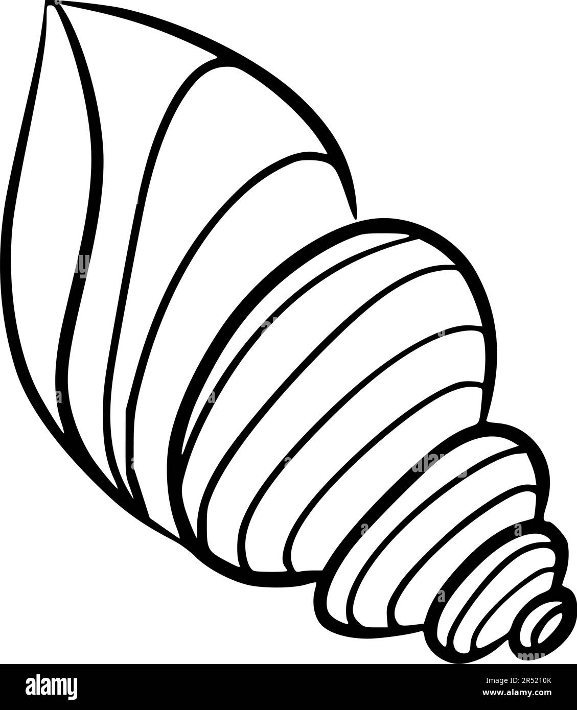 Conch Shell Silhouette Sea Shell Silhouette SVG Cut File By Creative