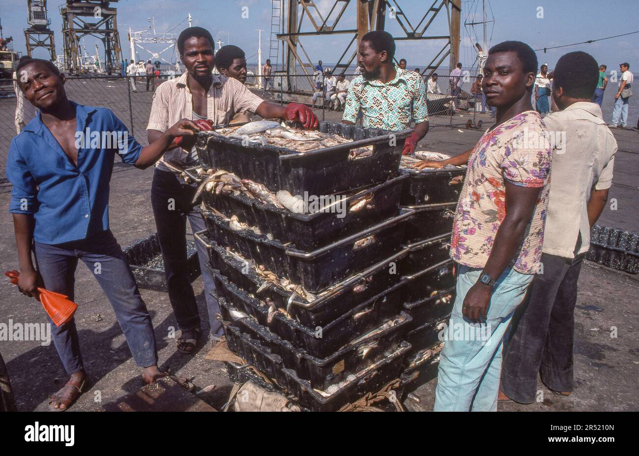 Fish catch mozambique hi-res stock photography and images - Alamy