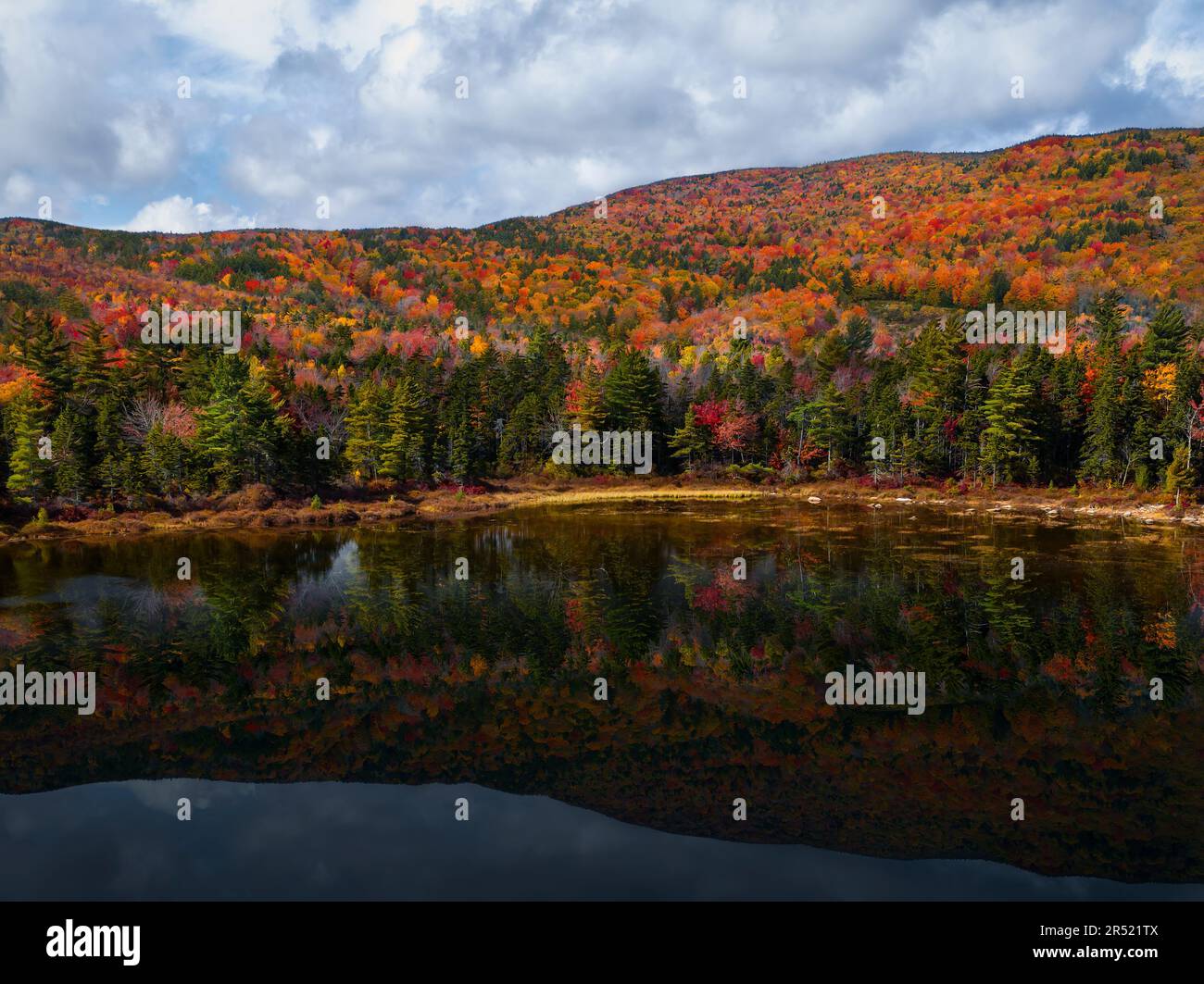 Lily Pond White Mountains NH Fall - View of the autumn peak colors at ...