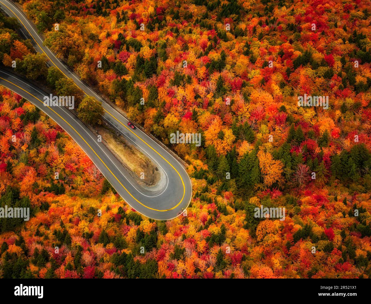 Mohonk preserve horse hi-res stock photography and images - Alamy