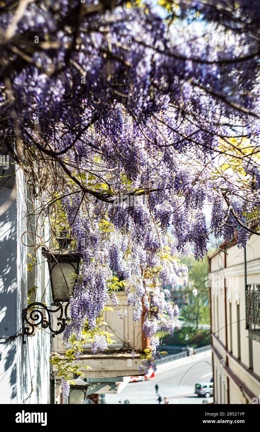 Traditional georgian wooden balcony and building facade covered with ...