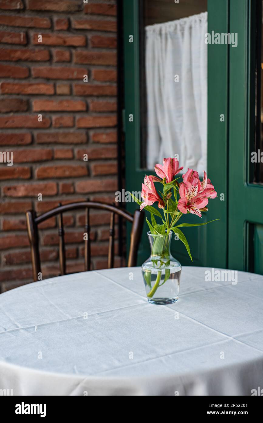 Inca lily hi-res stock photography and images - Alamy