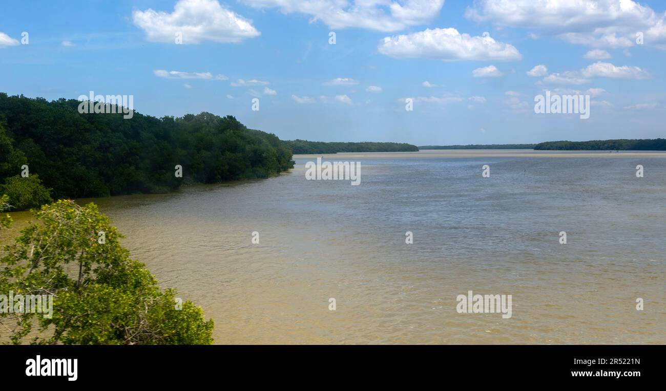 Saltwater lagoon and mangrove forest biosphere nature reserve, Gulf of ...