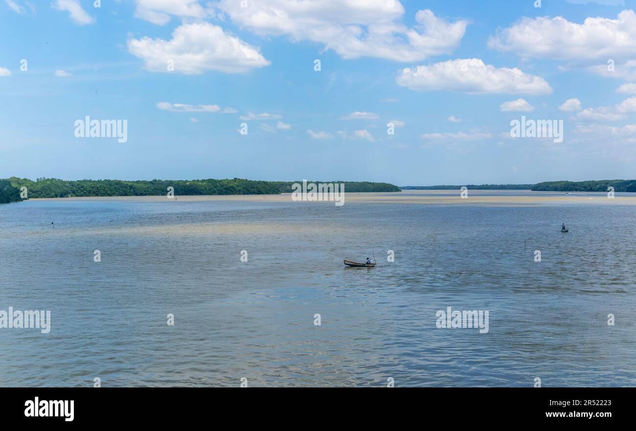 Saltwater lagoon and mangrove forest, Gulf of Mexico coast, Celestun ...