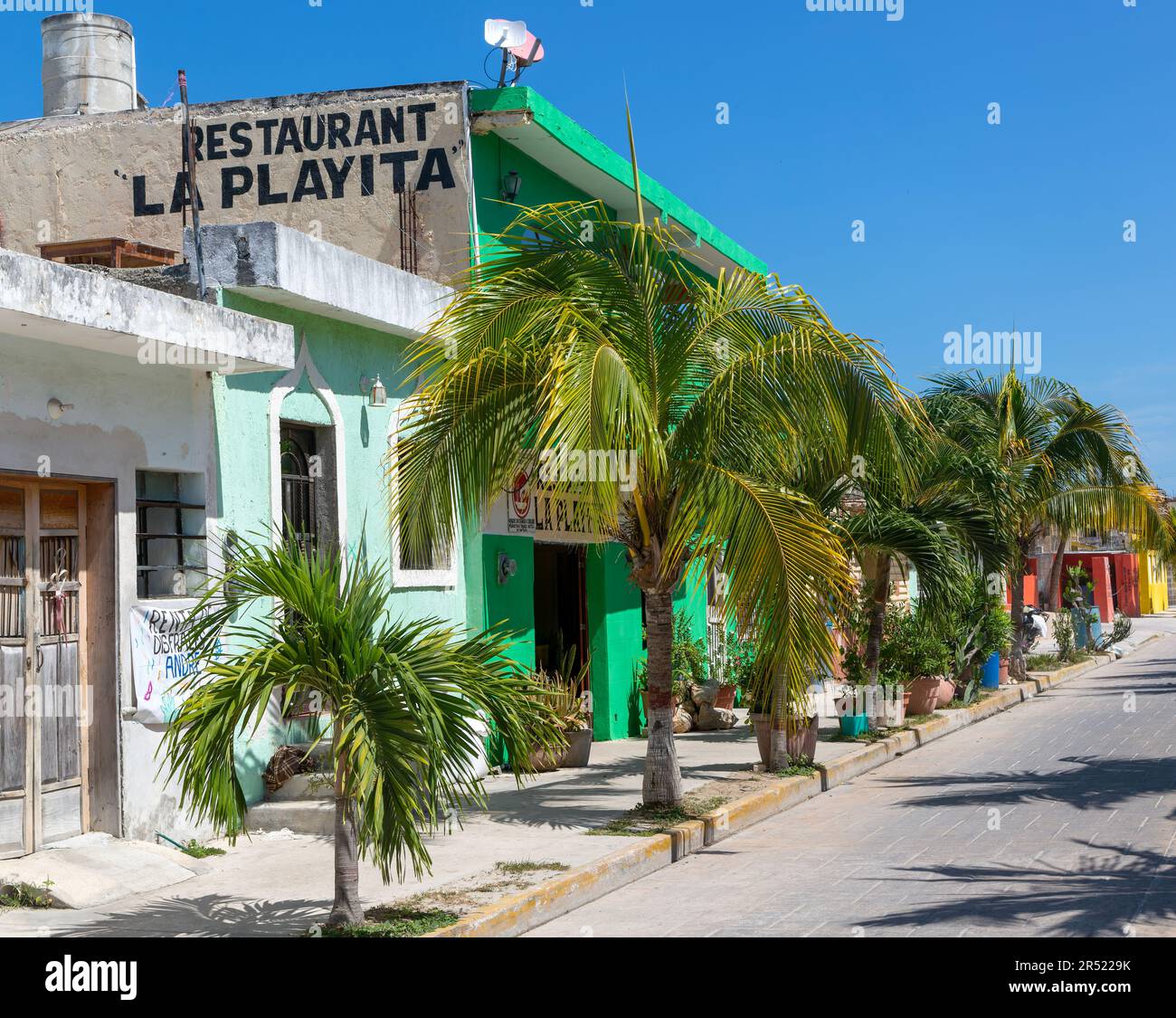 Mexico road trees hi-res stock photography and images - Alamy
