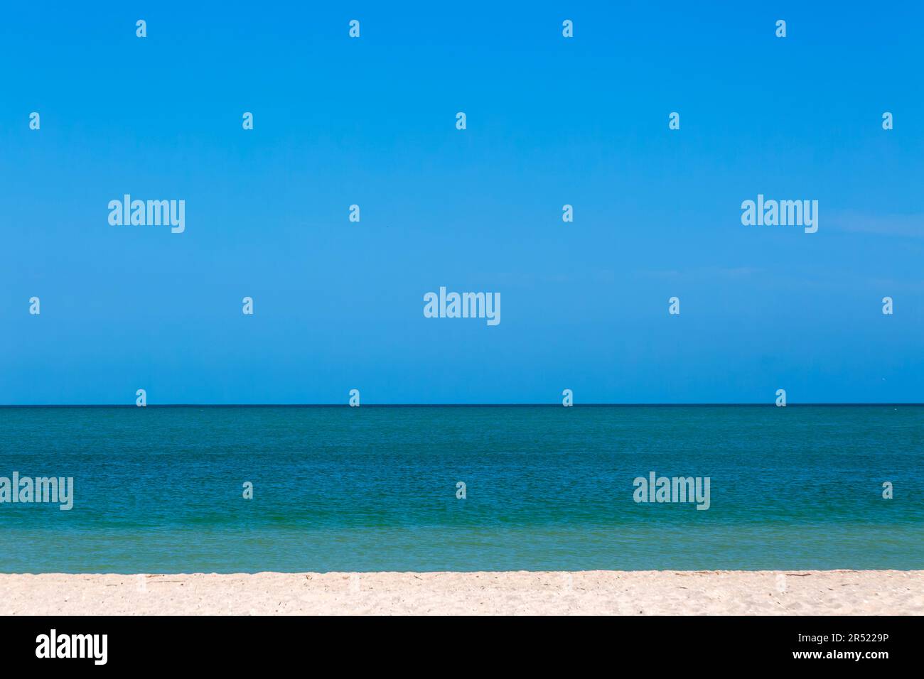 Sandy beach with blue sky and horizon of calm sea, Gulf of Mexico coast ...