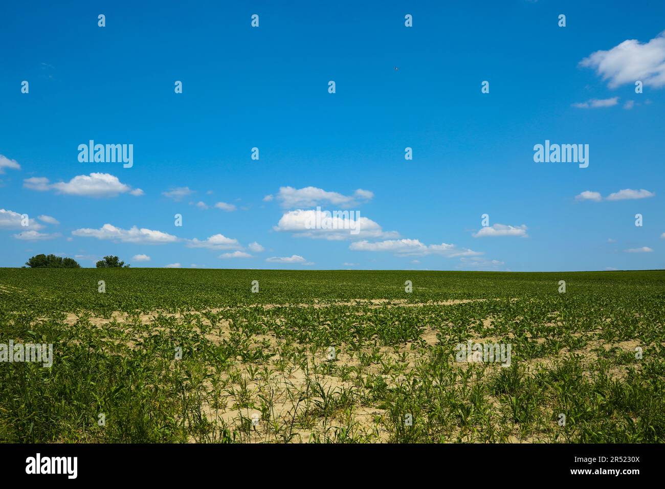 Munich dachau map hi-res stock photography and images - Alamy
