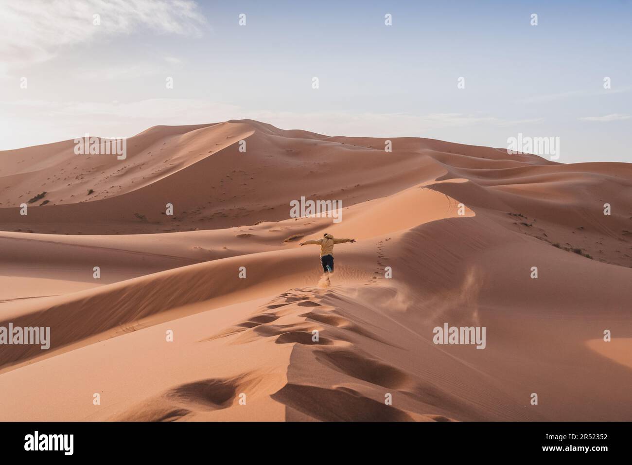 Back view of unrecognizable tourist standing on sand dune and admiring ...