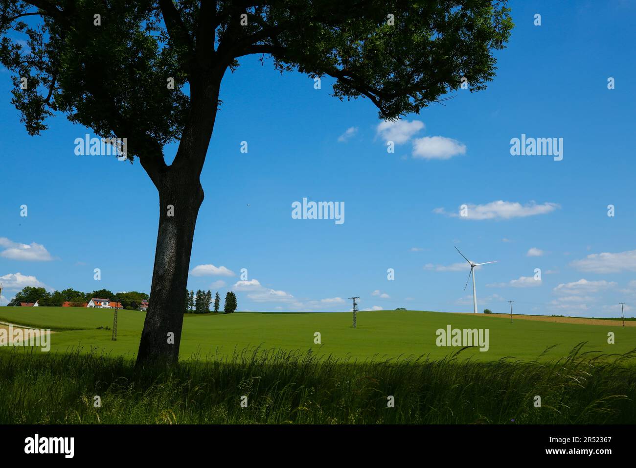 Fields with blue sky, clouds and trees in the Dachau hinterland ...