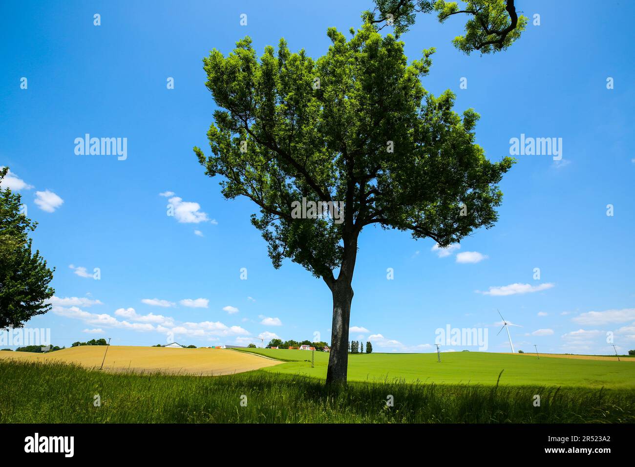 Munich dachau map hi-res stock photography and images - Alamy