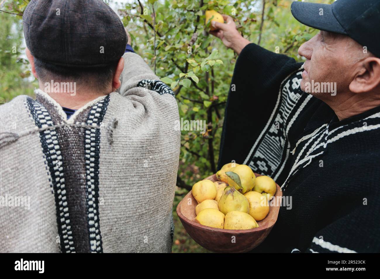 Mapuche chile farm hi-res stock photography and images - Alamy