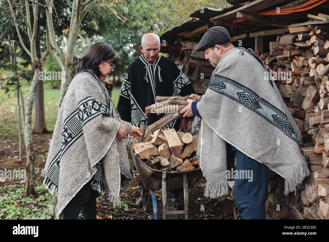 Chile mapuche woman traditional hi-res stock photography and images - Alamy