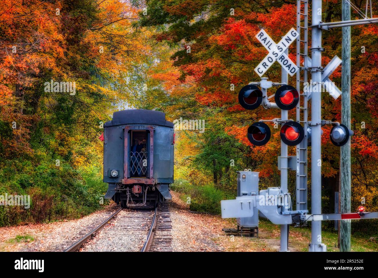 Essex Steam Train - View to the back car of the traveling No 40 steam ...
