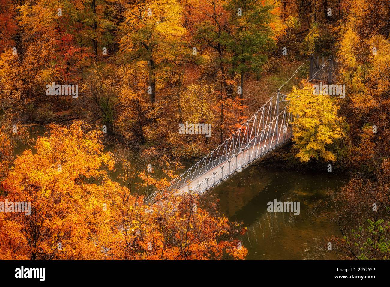 Bear Mountain Footbridge - View Bear Mountain Bridge State Park during ...
