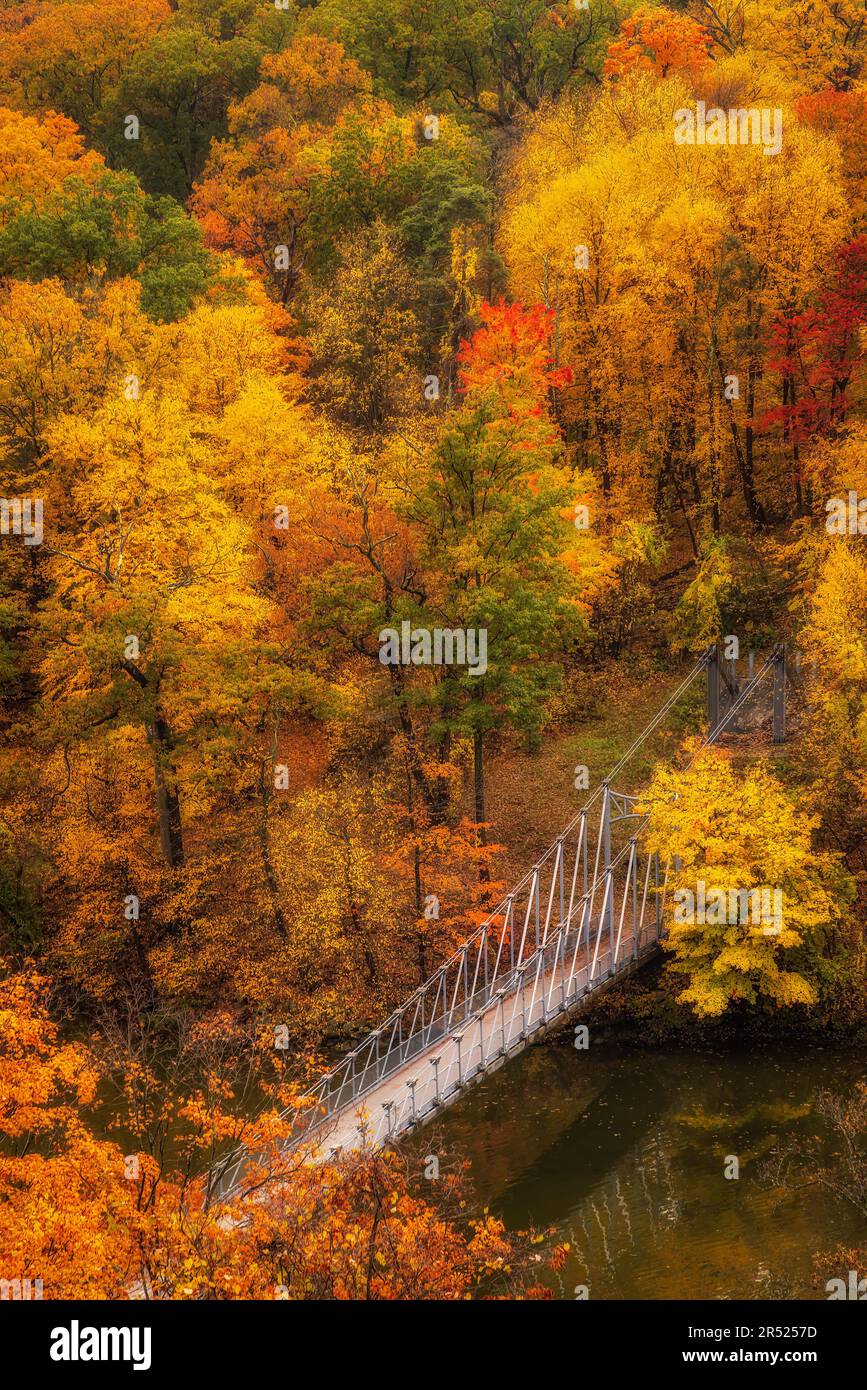 Bear Mountain Footbridge - View Bear Mountain Bridge State Park during ...