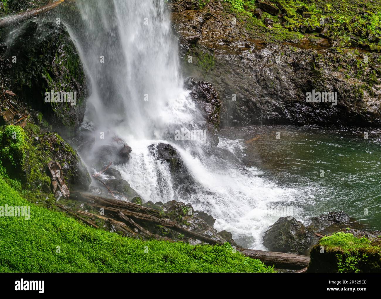 The bottom of Lower North Falls at Silver Falls State Park in Oregon ...